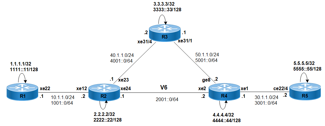 ISIS Multi Topology